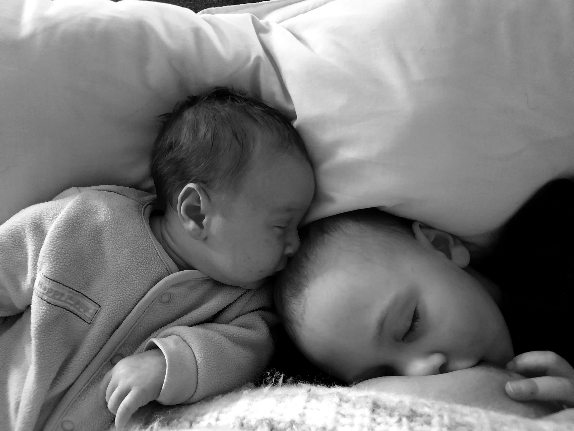 Human Milk Bank Service makes a Fresh Appeal for more donor mums ...