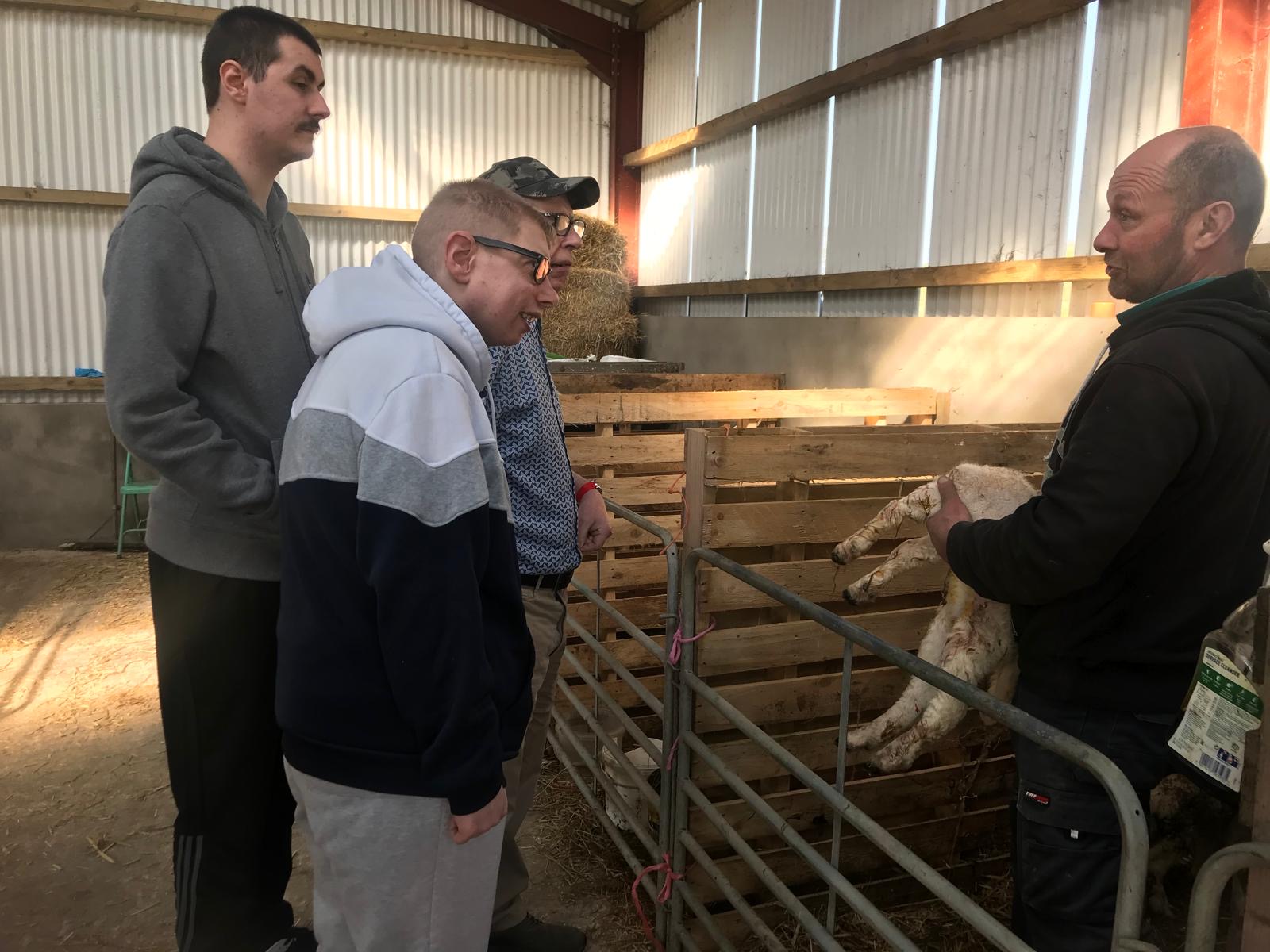 Glenside Service Users Visit Butterlope Farm (8) | Western Health ...