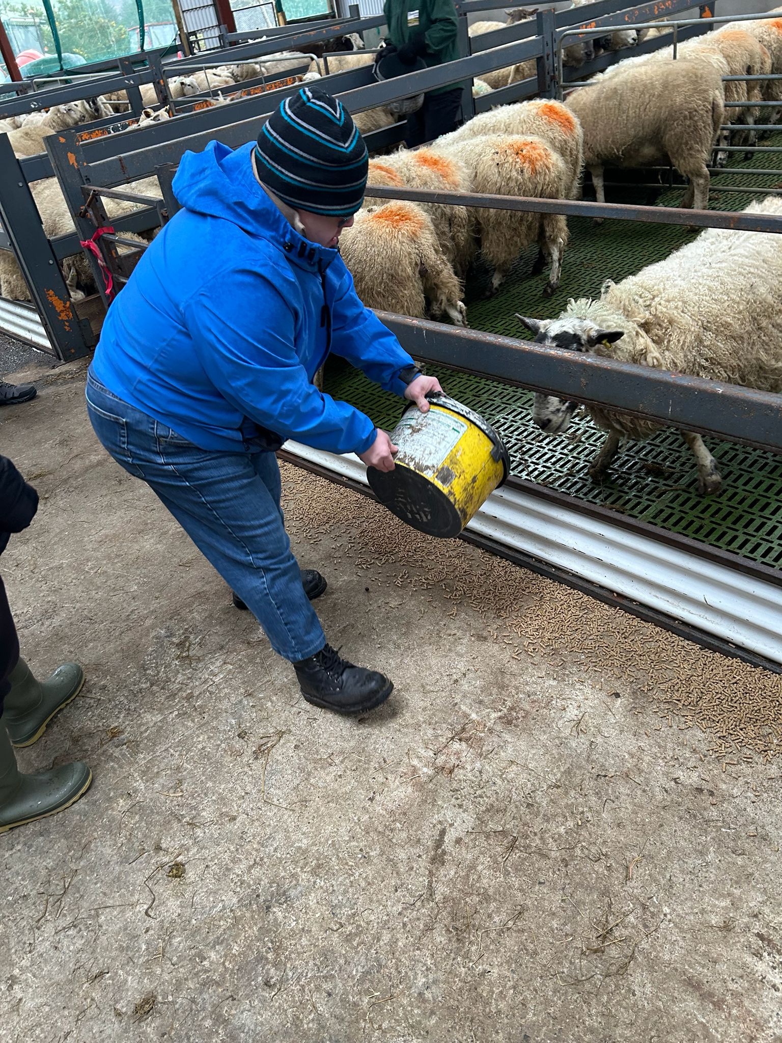 Kevin Hagan Helping To Feed The Animals At Butterlope Farm | Western ...